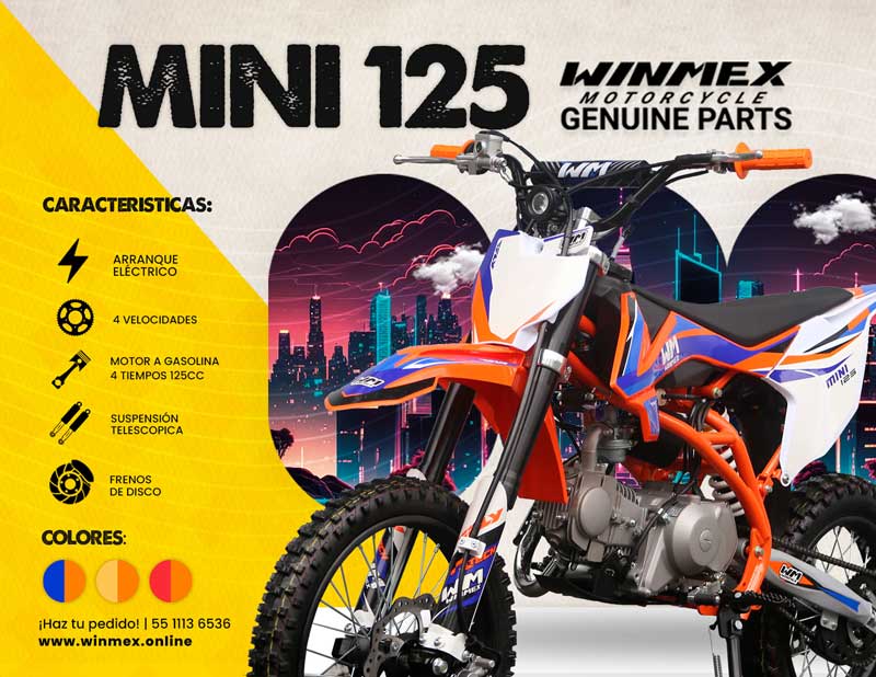 Cuatrimoto TH 125 - Winmex Satelite